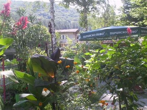 Varbitsa Resort Settlement