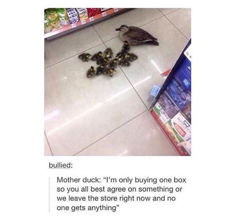35 Duck Memes That Will Make You Quack All Day Artofit