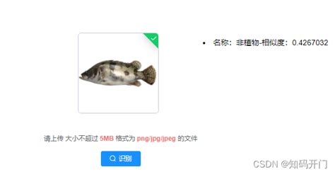 Java调用百度ai实现上传图片识别物体百度智能云动物识别api调用java获得动物名 Csdn博客