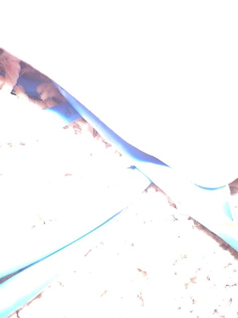 Need Help Repairing Ethernet Cable R Pcmasterrace