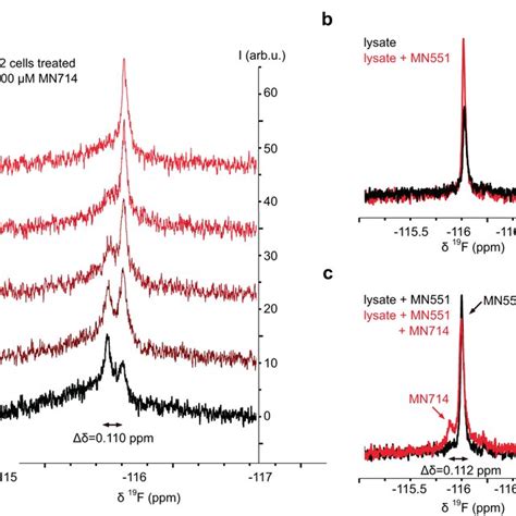 In Cell Nmr Spectroscopy Confirms Mn714 Prodrug Is Unmasked Inside