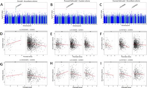 Results From The Genome‐wide Gwas And Genome‐wide By Environment Download Scientific Diagram