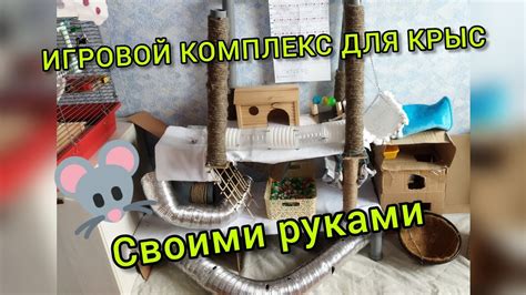 Игровой комплекс для крыс часть1/игры и развлечания для грызунов 🐭🐀# ...
