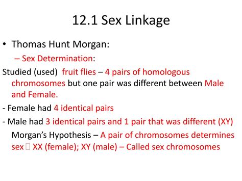 Ppt 121 Sex Linkage Powerpoint Presentation Free Download Id9341570