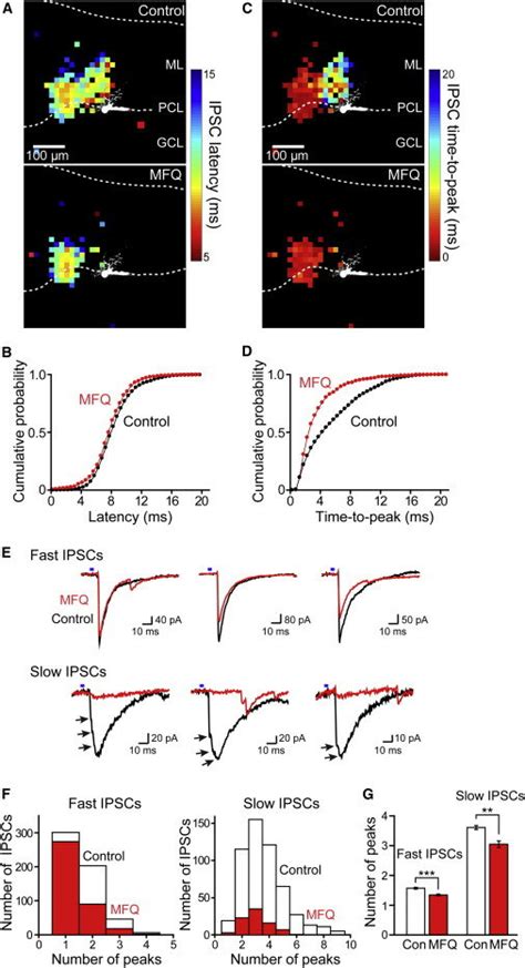 Effect Of Gap Junction Blockers On Ipsc Kinetics Download Scientific