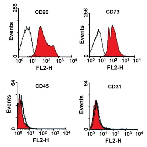 Flow Cytometry Analysis Of C57bl6 Mice Adscs Showing That They Do Not