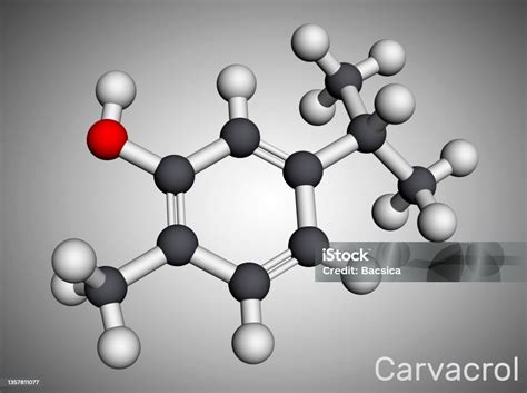 카바크롤 시모페놀 분자 그것은 사이멘의 천연 모노 테 르펜 유도체 세균 성장억제제 식품 첨가물로서 사용된다 분자 모델 3d 렌더링 0명에 대한 스톡 벡터 아트 및 기타
