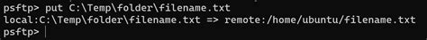 How To Transfer Files To Or From Your Linux Vm Using Scprysncputty