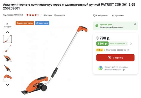 Живая изгородь для забора: из чего лучше сделать, как сделать, плюсы и ...