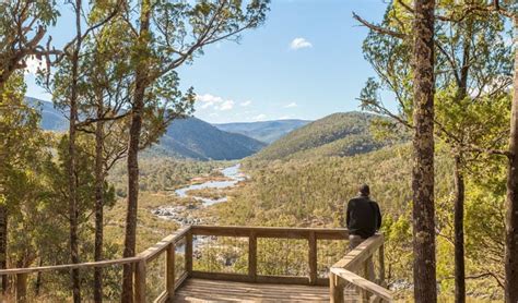 Lower Snowy River Area Nsw National Parks