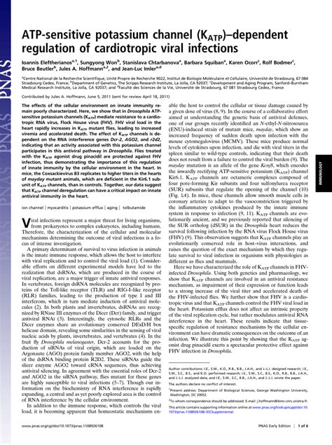 PDF ATP Sensitive Potassium Channel KATP Dependent Regulation Of