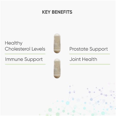 Plant Sterol Complex 30 Capsules Metagenics Uk Fast Shipping