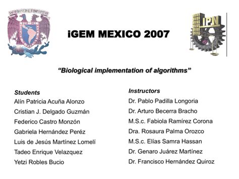 biological implementation of algorithms