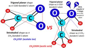 CH COO Lewis Structure Shape Bond Angle Charges Resonance