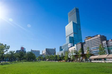 The Tourist Guidebook In Osaka