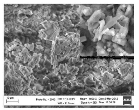 Scanning Electron Micrographs Of Synthesized Catalyst Download