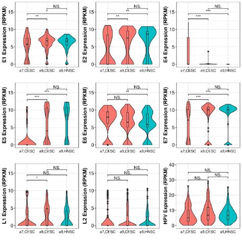 Hpv Gene Expression Varies Across Genotype But Not Cancer Type