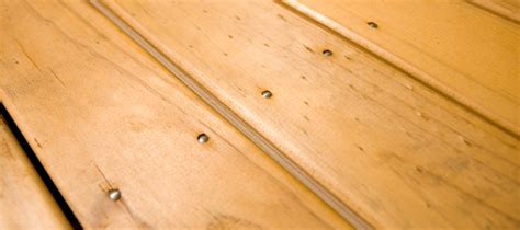 What You Need To Know About Treated Pine For Decking Softwoods Pergola Decking Fencing