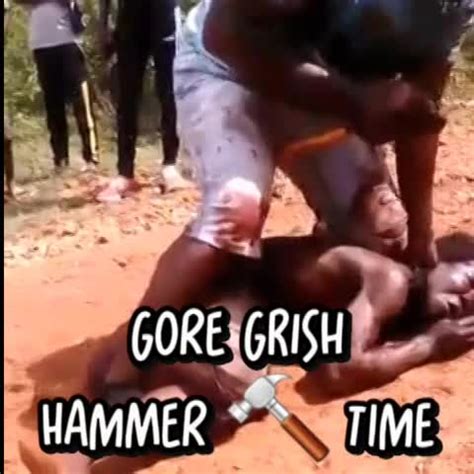 Hamma Timeeee