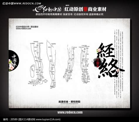 中医经络图示展板图片114