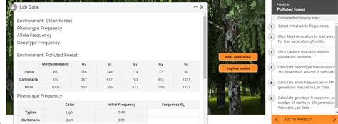 Solved Environment Clean Forest Phenotype Frequency Allele Chegg