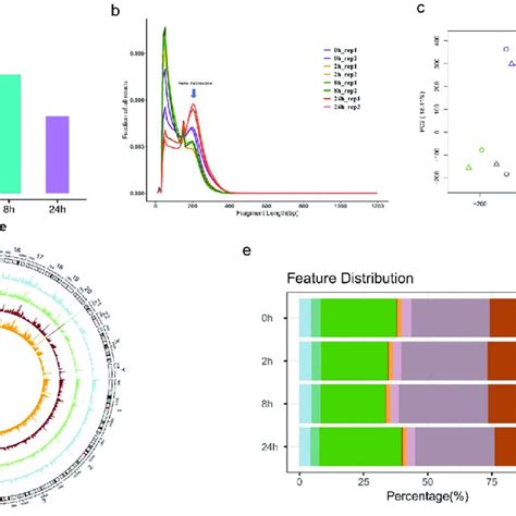Overview Of Chromatin Accessibility Variation During Hasc Adipogenesis