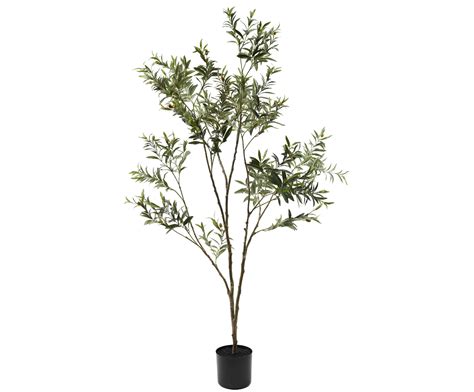 Olijf Groen 180 Cm Van Silk Ka Kleurandgeur