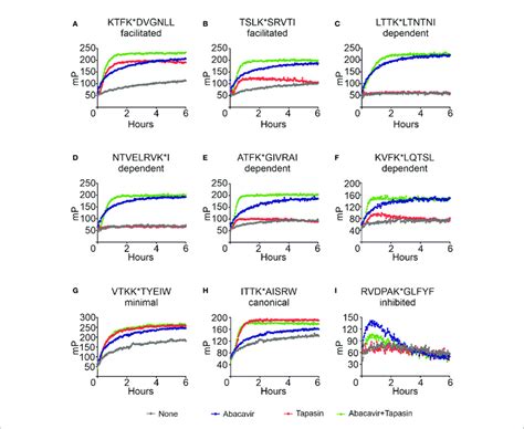 Abacavir Diversifies The Hla B 57 01 Peptide Repertoire By Enhancing