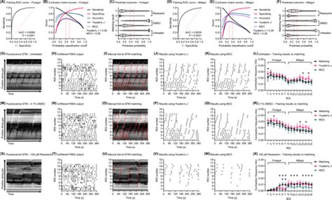 Systematic Analysis Of Proximal Midgut‐ And Anorectal‐originating Contractions In Larval