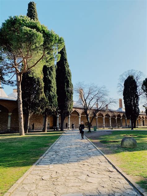 Person Walking On Sidewalk Near Trees During Daytime Photo Free