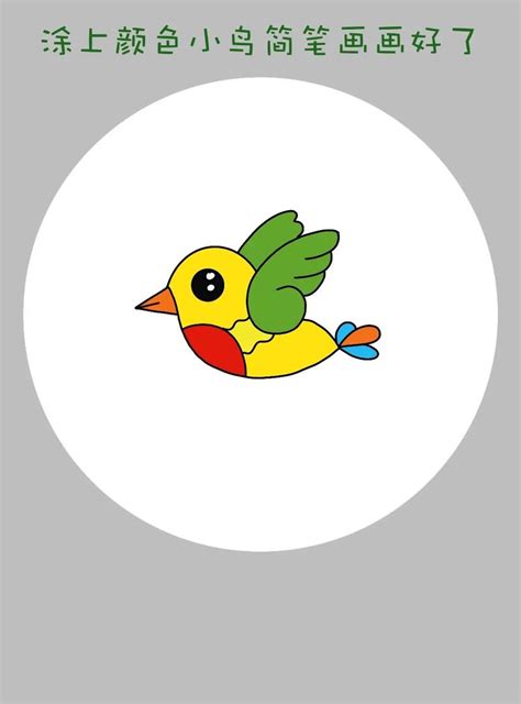 小鸟彩色简笔画图片 小鸟彩画图案 苗苗知道