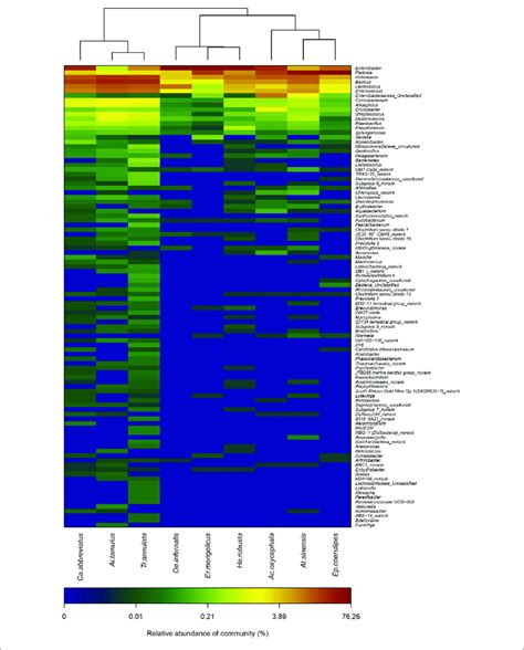 heatmap showing the relative abundance of otus and clustering across