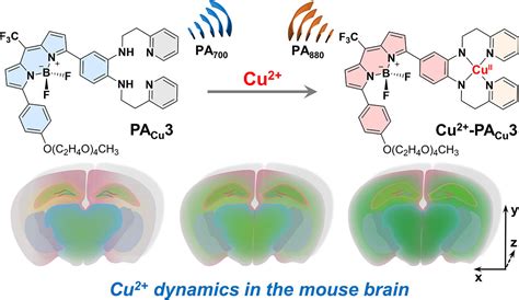 A Small‐molecule Ratiometric Photoacoustic Probe For The High