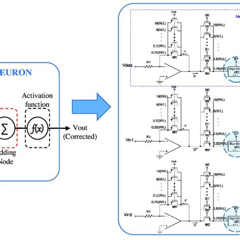 Neuron Configuration Implemented Within The Neural Network Based