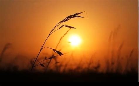 Поднимается солнце Лариса Горюшкина Проза ру