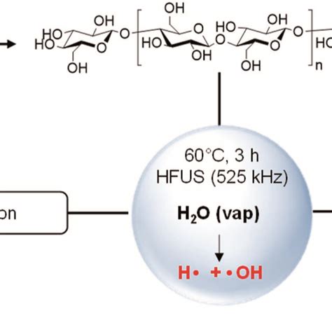 Depolymerisation Of Cellulose To Glucose Induced By Hfus Download Scientific Diagram