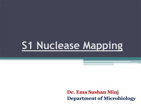 S1 Nuclease Mapping Pptx