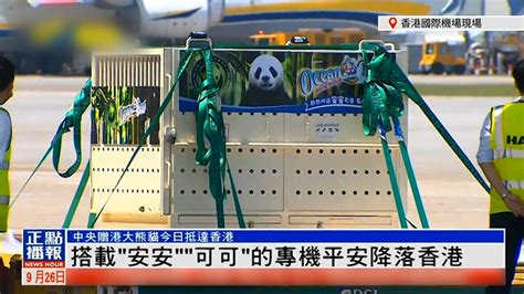 新一对赠港大熊猫平安抵达香港 凤凰网视频 凤凰网