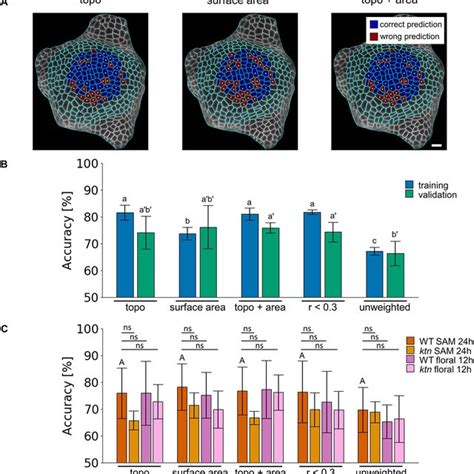 Concordance Between Observed And Predicted Topologies The Cell Download Scientific Diagram