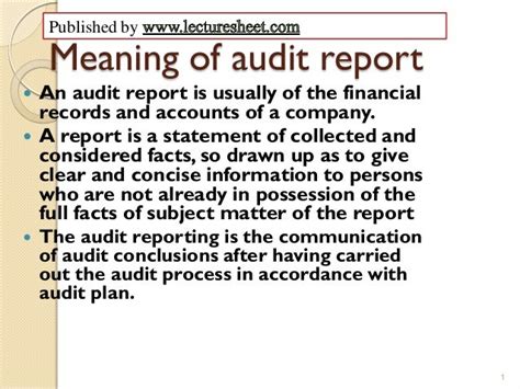 Audit Report