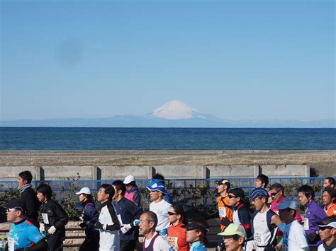 若潮マラソン 千葉県館山市の売買ならなのはな不動産