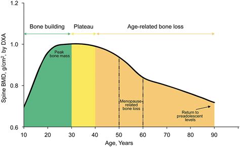 Mineral Density Chart