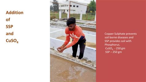 Final Presentation Experiential Learning Programme Pptx