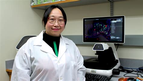 Study Identifies Promising Target For Treating Inflammatory Bowel