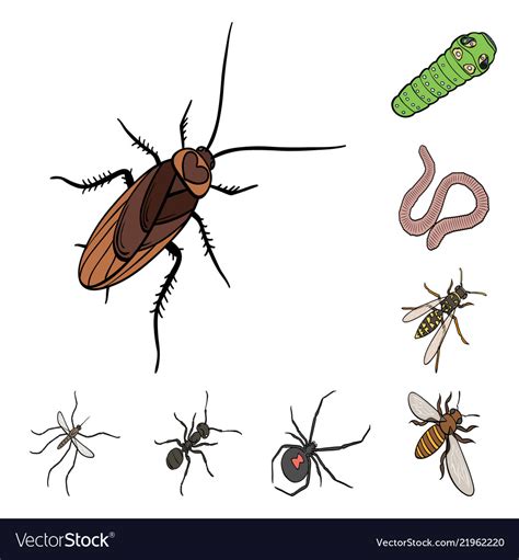 Different Kinds Of Insects Cartoon Icons In Set Vector Image