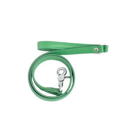 Correa De Cuero Artesana Para Perros En Color Verde Mint