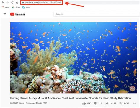 How To Use The Wordpress Youtube Embed Block