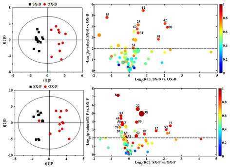 OPLS DA Scores Plots Left Panels And The Corresponding Volcano Plots