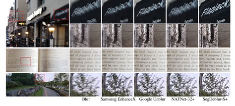 Figure 6 From Real World Efficient Blind Motion Deblurring Via Blur