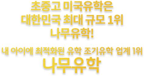 미국조기유학 조기유학 미국유학 중학생미국유학 고등학생미국유학 강남유학원 강남미국유학원 관리형유학 동반유학 일반조기유학